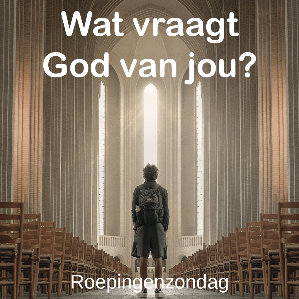 Laatste boodschap paus Franciscus voor Roepingenzondag: de wereld heeft ...